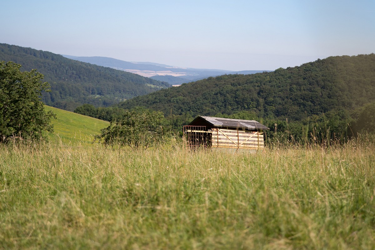 European funding as an opportunity for sustainable regional development ...